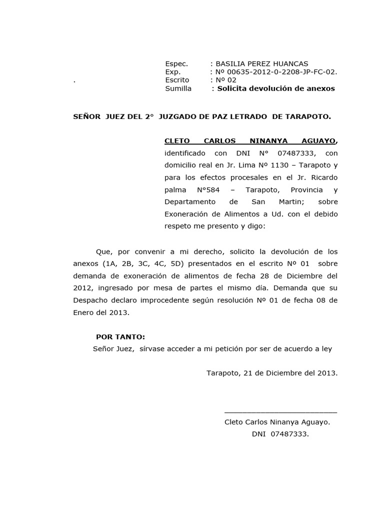 Solic Anexos Ninanya | PDF