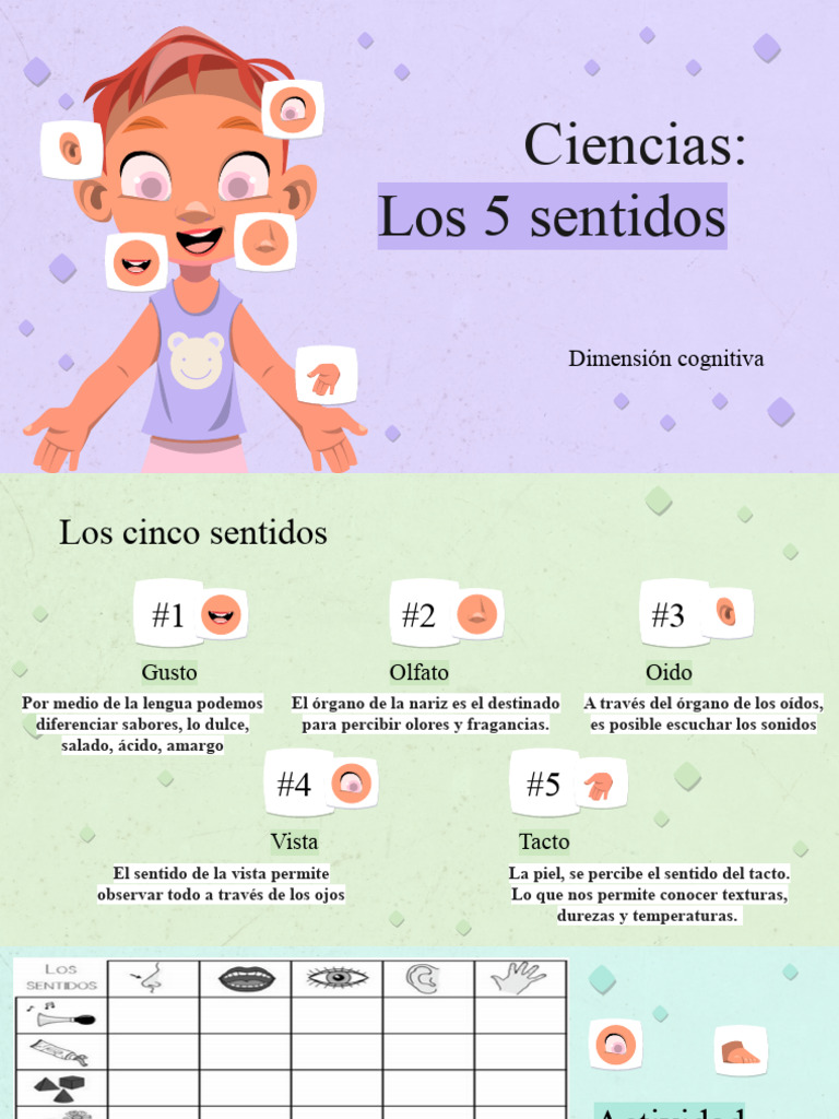 SESION 5 6 LOS 5 SENTIDOS | PDF