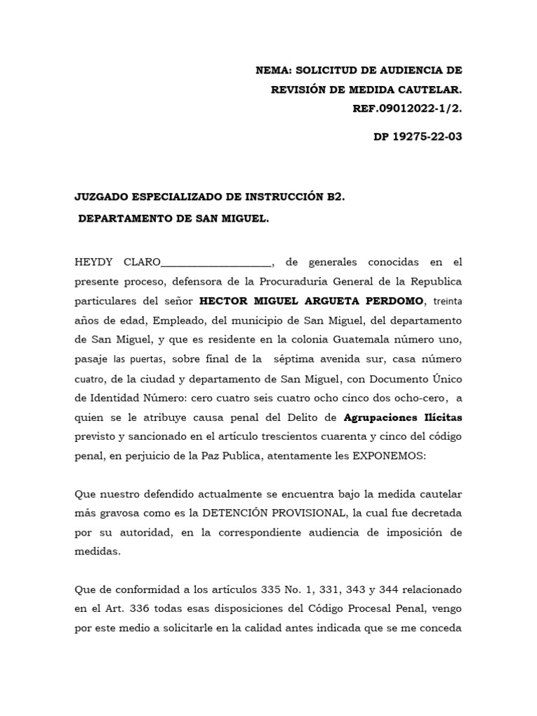 Audiencia Especial Hector Perdomo | PDF