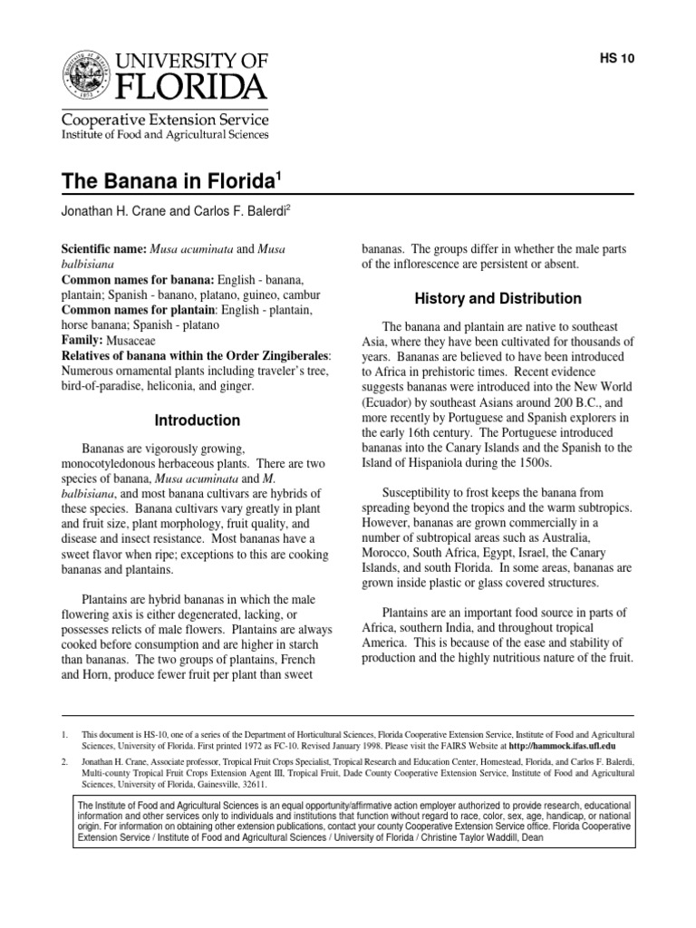 Bananas Florida | PDF | Banana | Plants