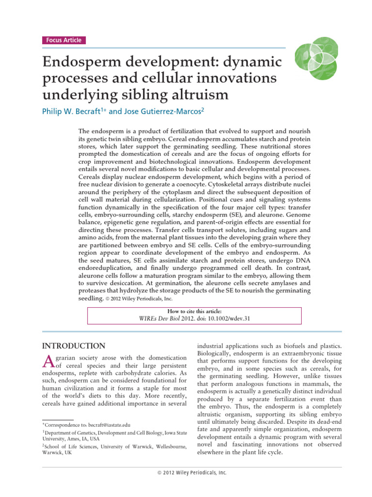 Rad - Razvoj Endosperma | PDF