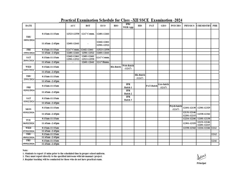 Cbse Practical 2024 | PDF