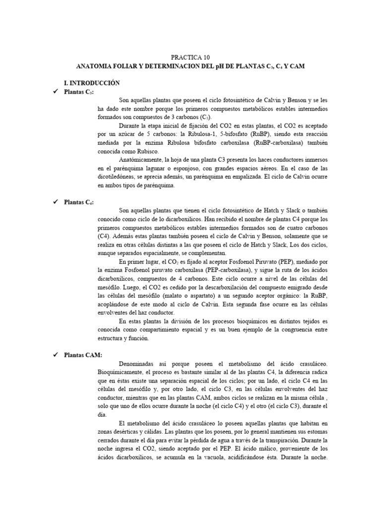 Anatomía y pH en Plantas C3, C4, CAM | PDF | Fisiología | Ciencias de ...