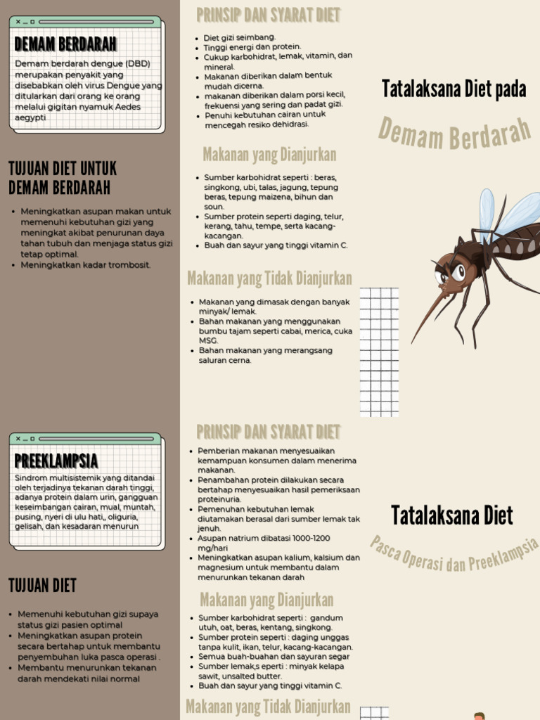 Leaflet Skillslab DNP 3 | PDF