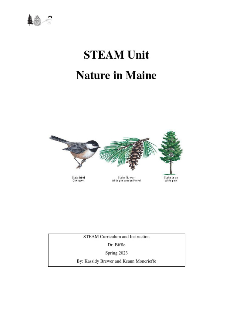 Outline For Steam Curriculum Due Soon | Download Free PDF | Lesson Plan ...