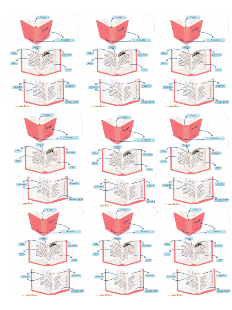 Componentele Cartii | PDF