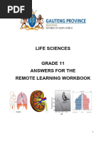 Grade 11 Life Sciences Revision Material Term 3 and 4 - 2023 | PDF ...