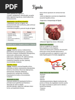 IRIS - Pocket - Guide - To - CKD - 2023 TRADUZIDO | PDF | Creatinina ...