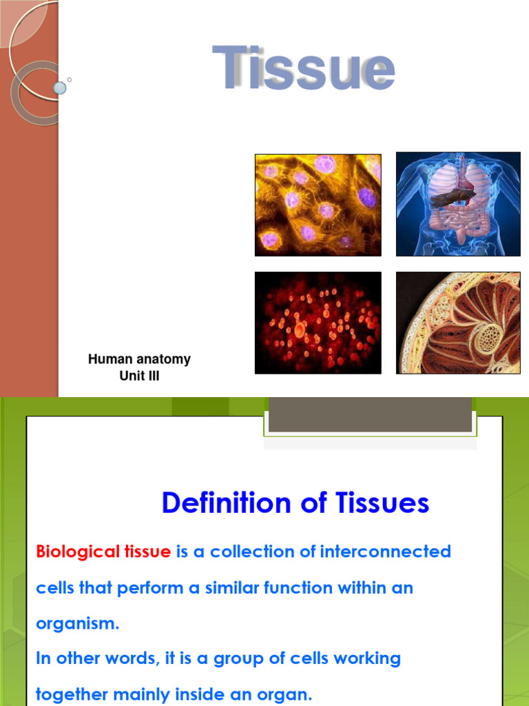 Life Science Human Tissue | PDF