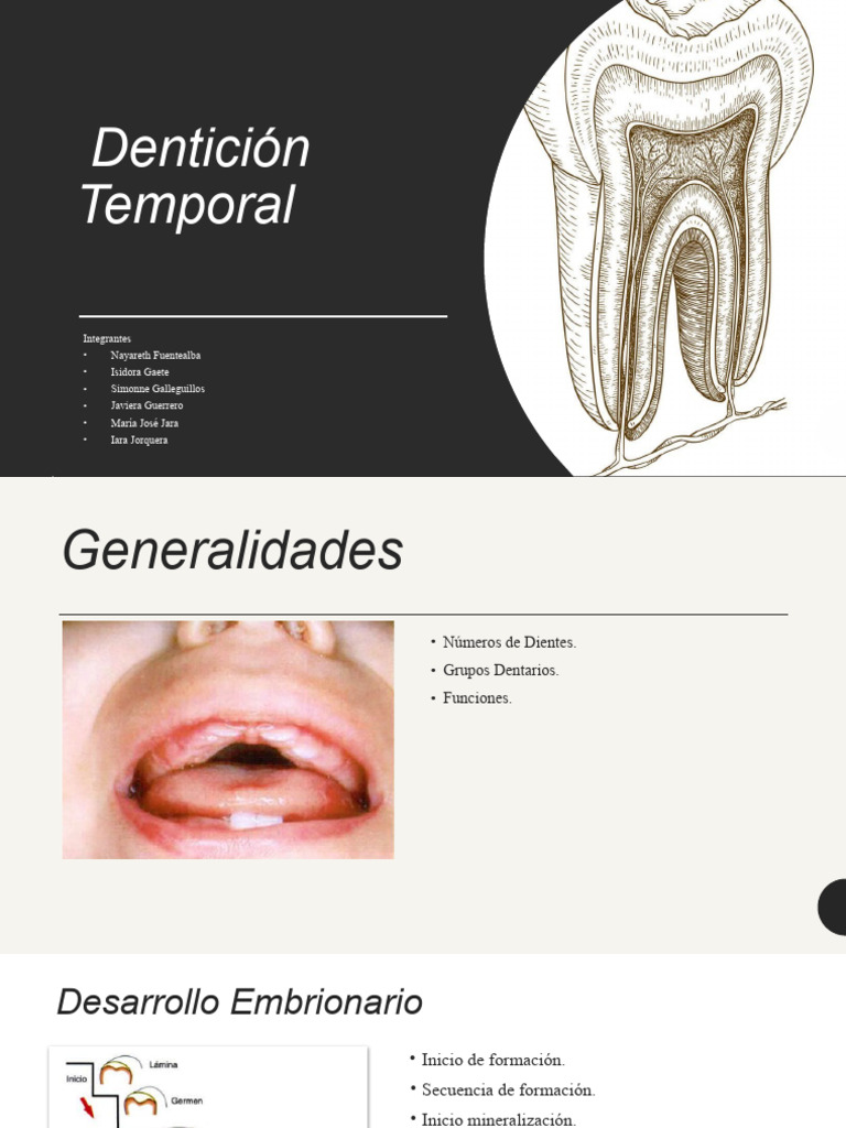 Dentición Temporal 2.0o | PDF | Salud y bienestar