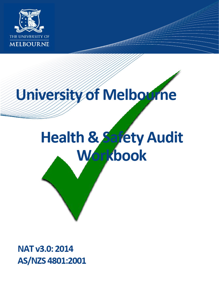 Health and Safety Audit Workbook | Download Free PDF | Occupational ...