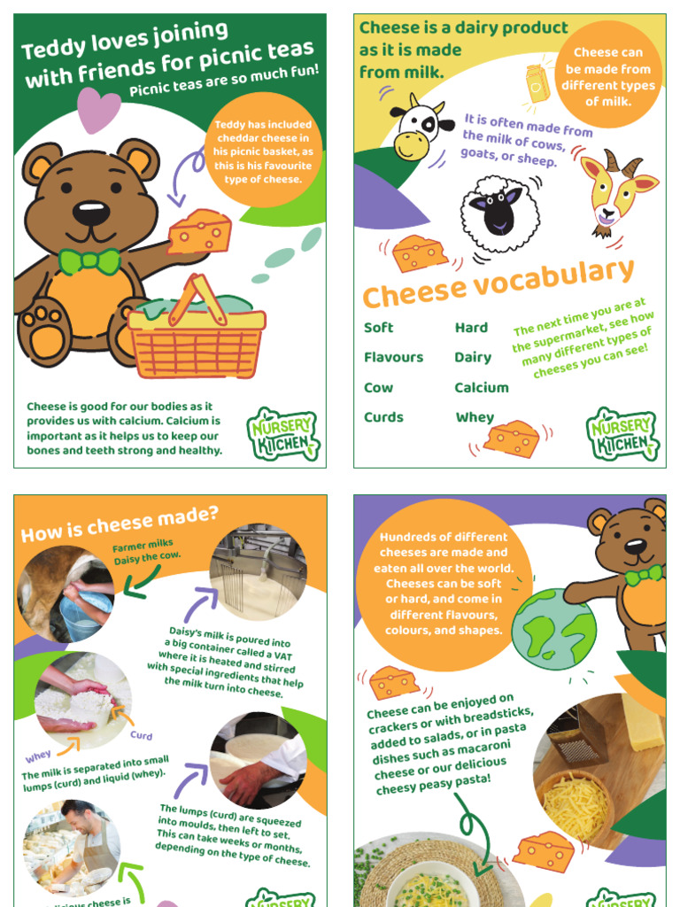 Teddy Cheese Lunch and Learn | PDF | Cheese | Milk