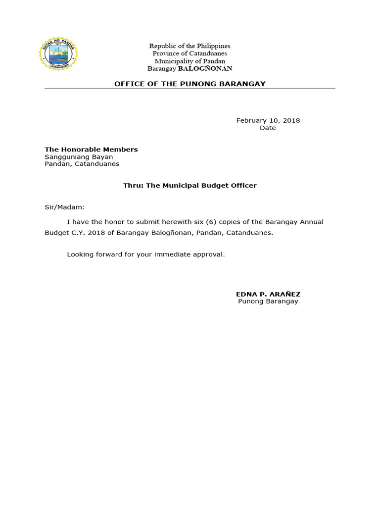 Barangay Budget Message | Download Free PDF | Income | Fiscal Year