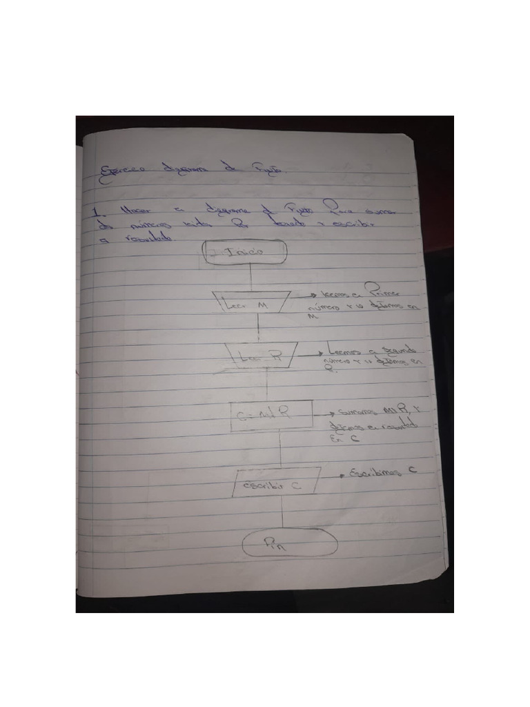 Diagrama de Flujo de Perla | PDF