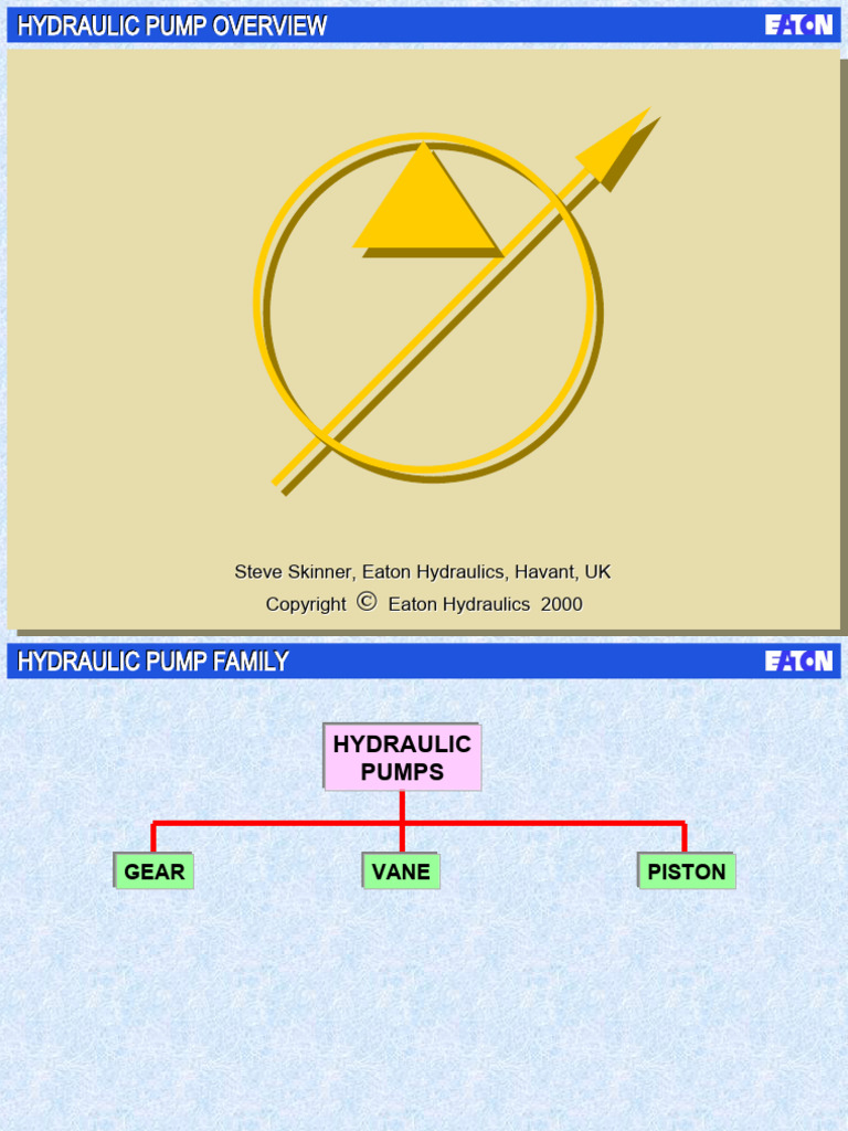 Pump Overview | PDF | Pump | Piston