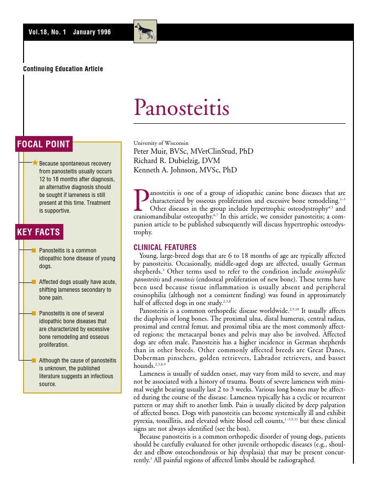 Panosteitis | PDF | Bone | Infection