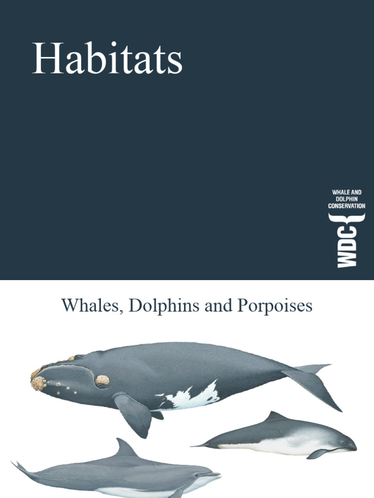 Habitats Presentation | PDF