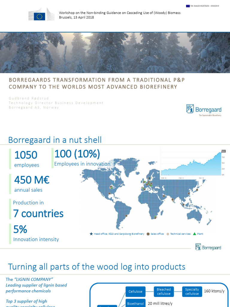 G. Rodsrud - Borregaard - Borregaard History at EC Workshop Cascading ...