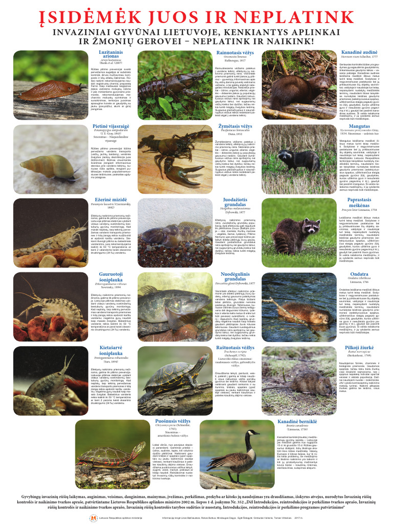 Plakatai Invazines | PDF