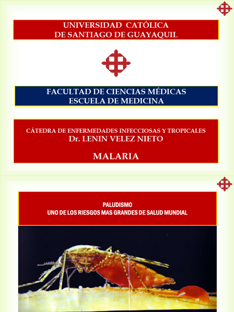 MALARIA NO COMPLICADA Abril 2023 | PDF | Malaria | Plasmodium