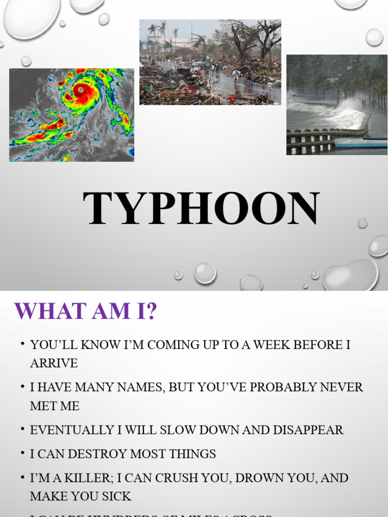 Typhoon | PDF