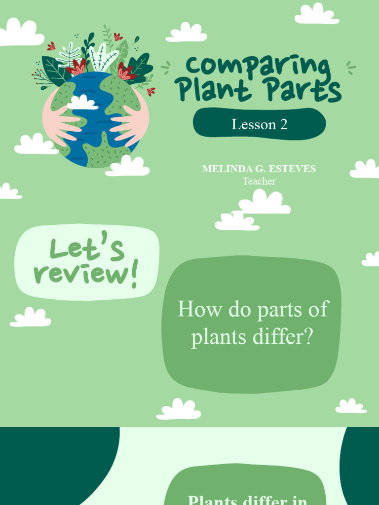 Comparing Plant Parts | PDF | Fruit | Root