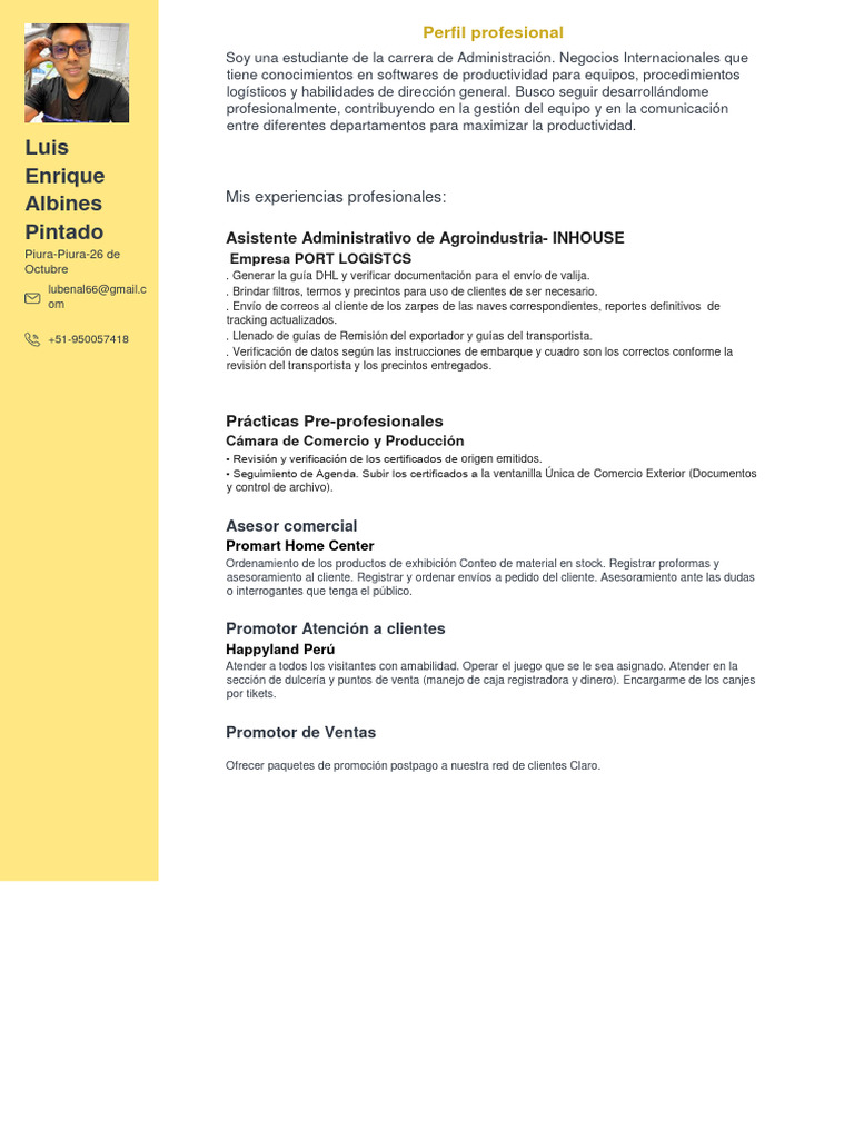 Luis - Enrique - Albines - Pintado CV | PDF | Microsoft | Logística