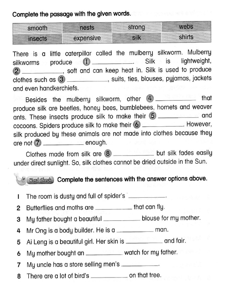 English Exercise Y2 | PDF