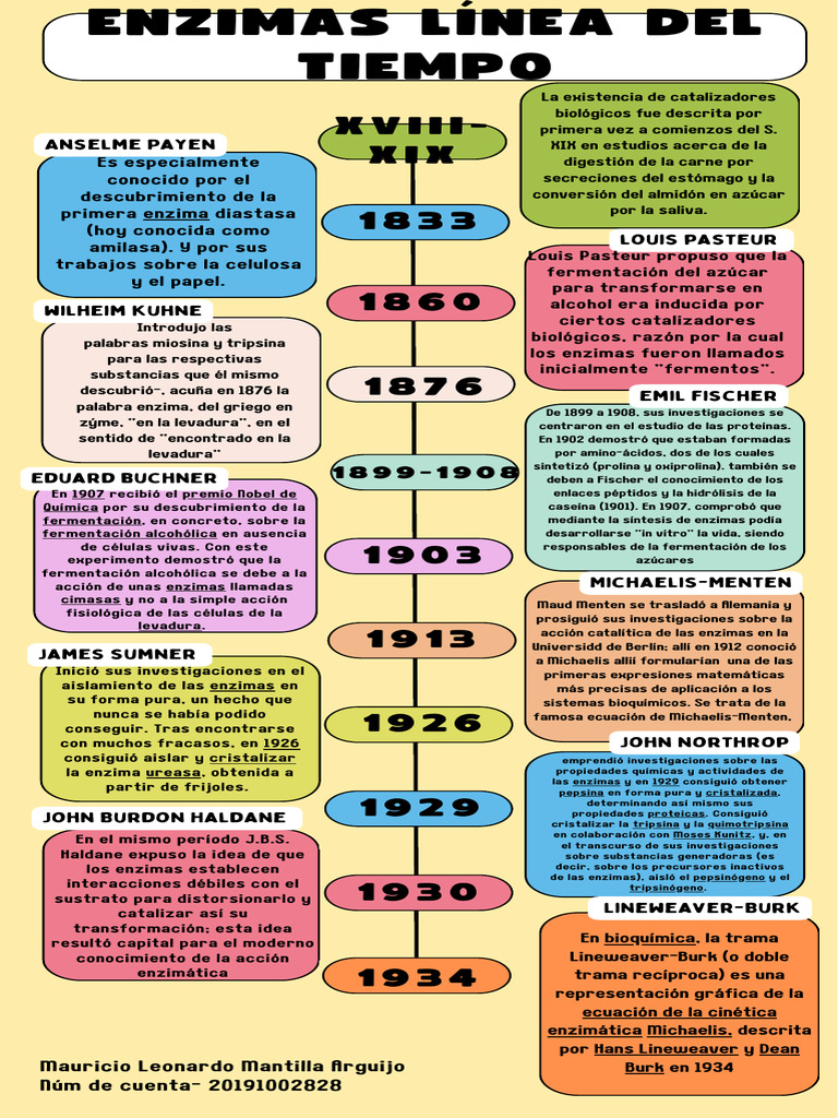 Linea de tiempo de las enzimas, bioquímica | PDF | Enzima | Fermentación
