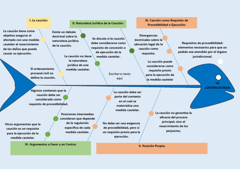 Organizador Visual La Contracautela Parte 1 | PDF