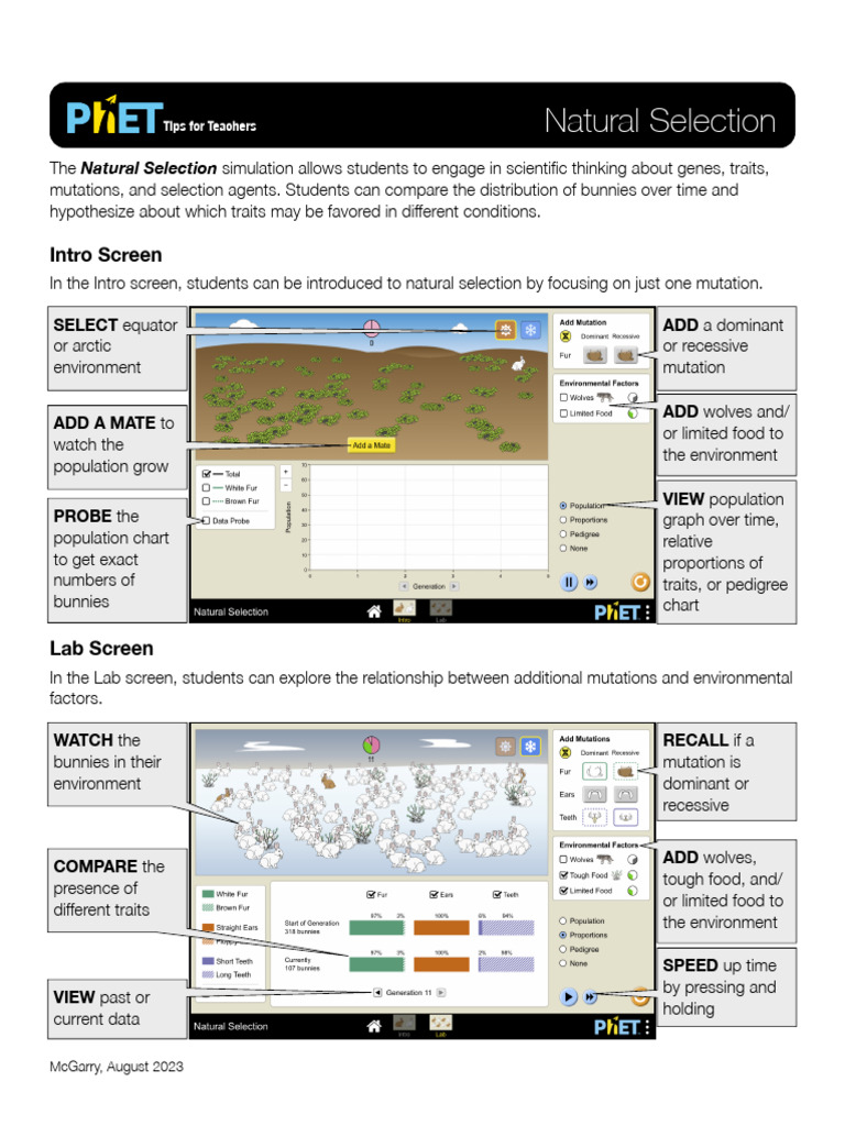Natural Selection HTML Guide en | PDF | Natural Selection | Mutation
