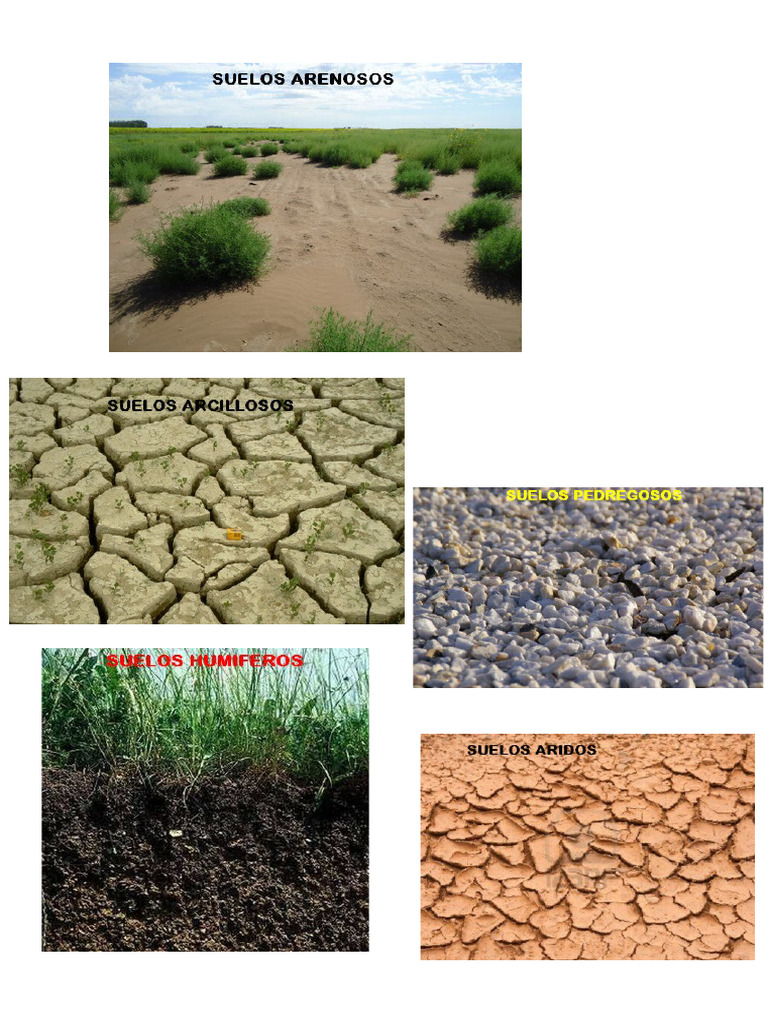 TIPOS DE SUELOS | PDF