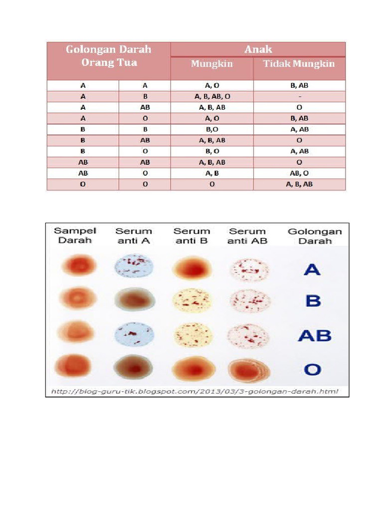 Pemeriksaan Darah Lengkap | PDF