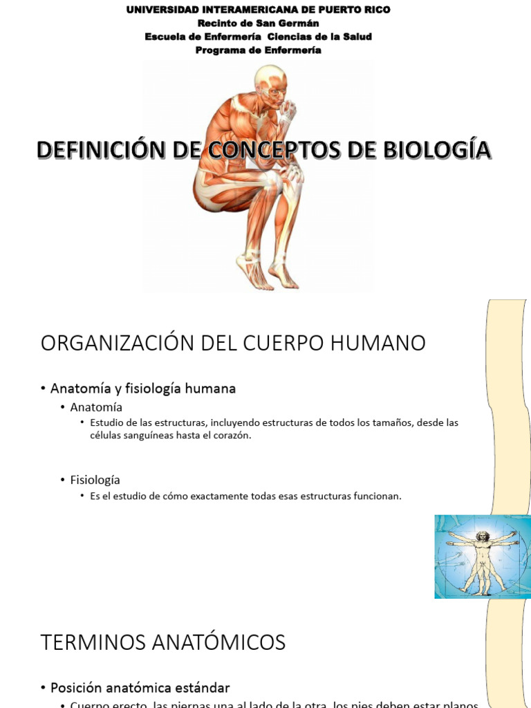 Conceptos Biofisiologia y Anatomia | PDF