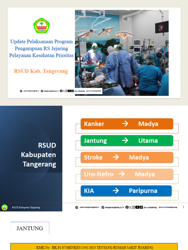 Update Pengampuan RS Jejaring Prioritas, RSUD Kab. Tangerang | PDF
