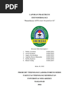 Laporan Praktikum Pemeriksaan TPHA | PDF