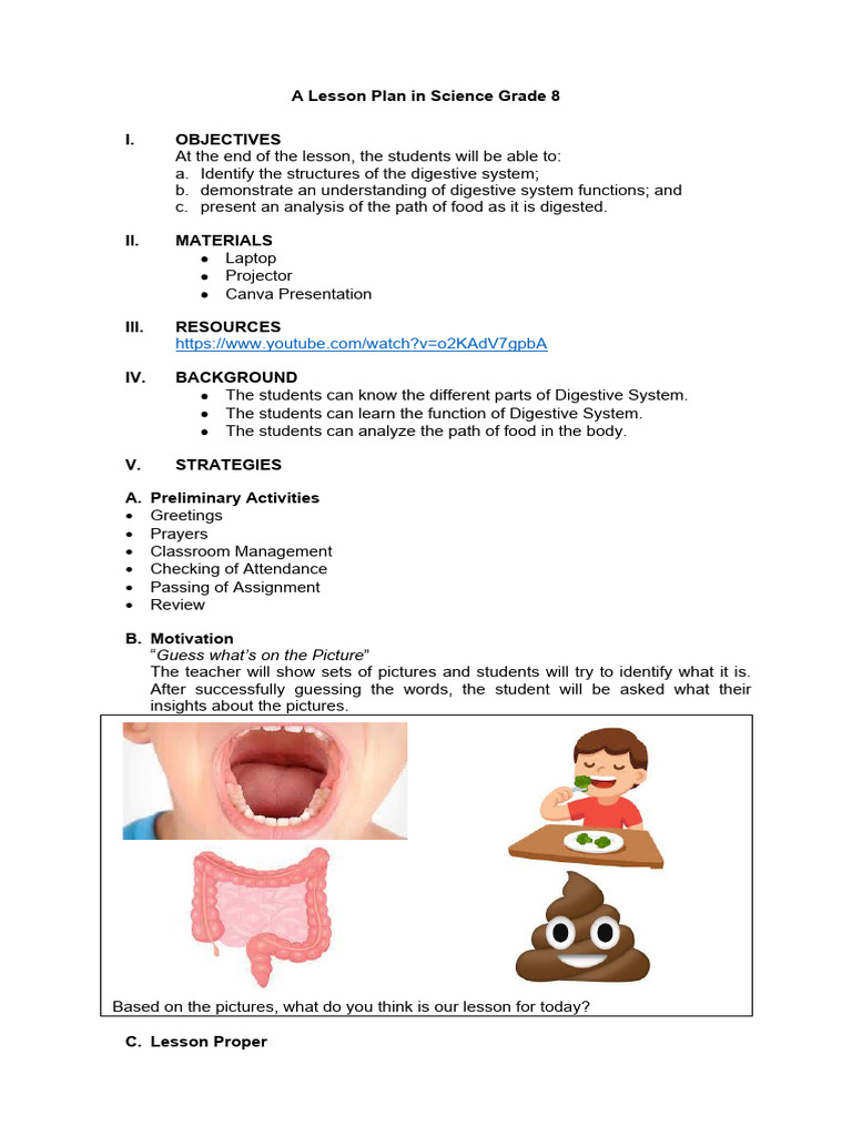 Lesson Plan 1 | PDF | Digestion | Large Intestine