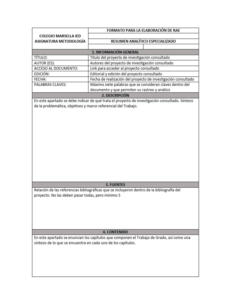 Formato Elaboración Rae | PDF