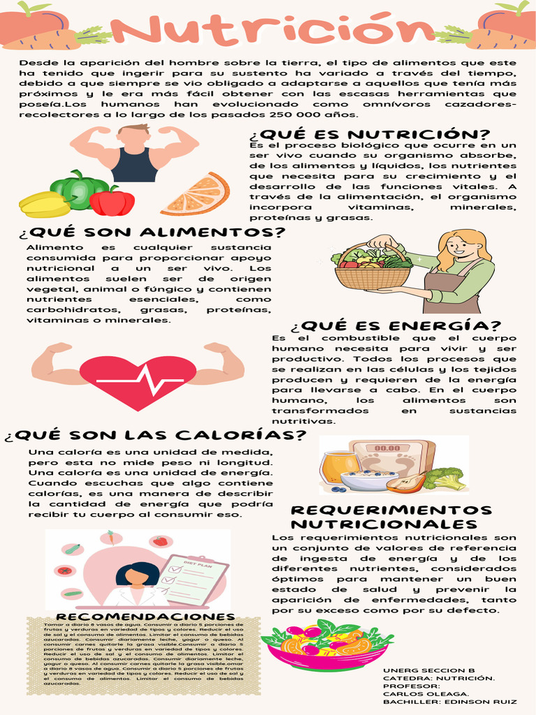 Infografia Nutrición | PDF