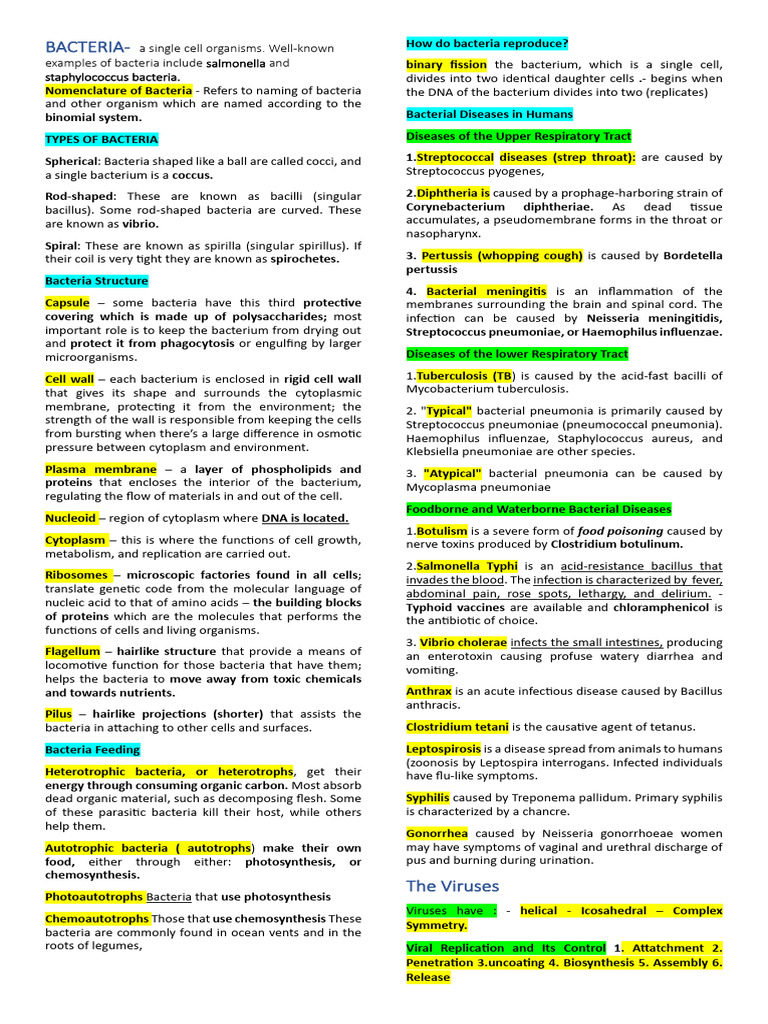 Modern Biology Reviewer | Download Free PDF | Immune System | Bacteria