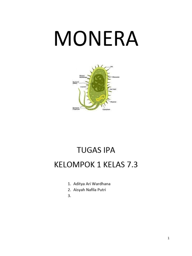 Monera | PDF