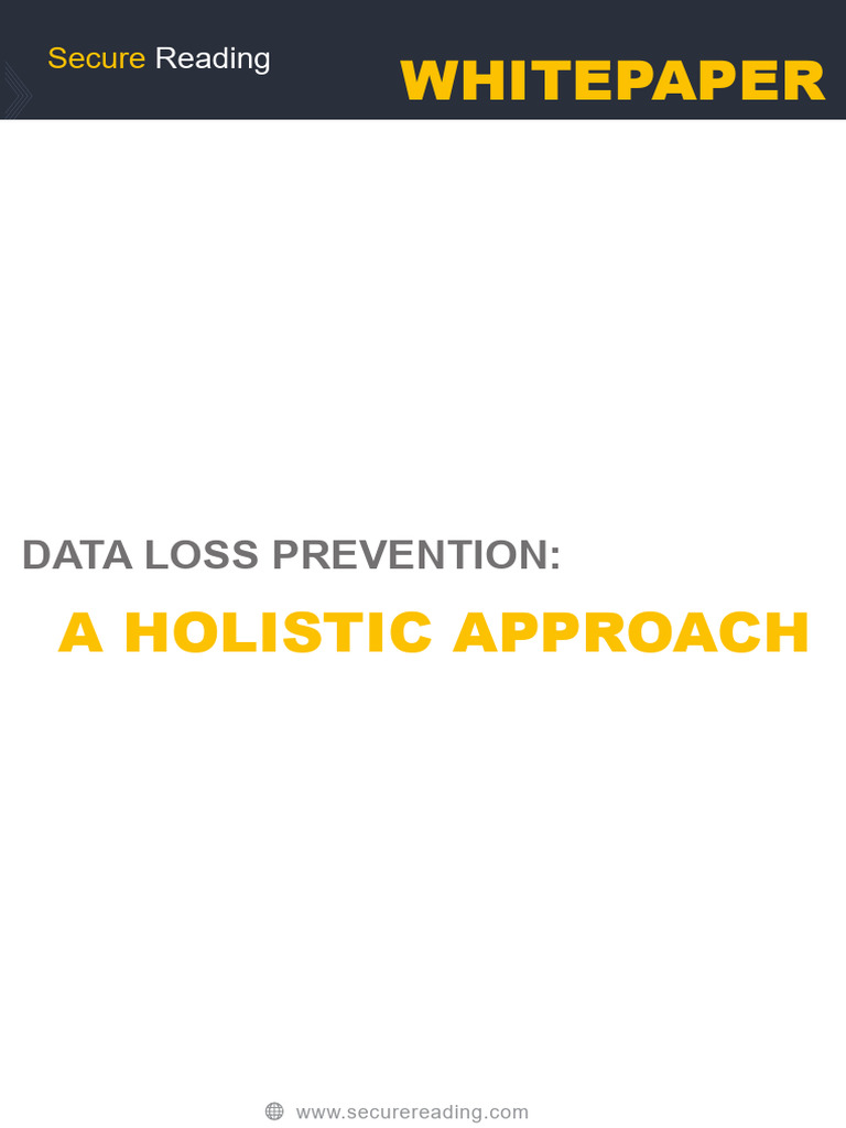 Data Leak Prevention DLP Whitepaper | PDF