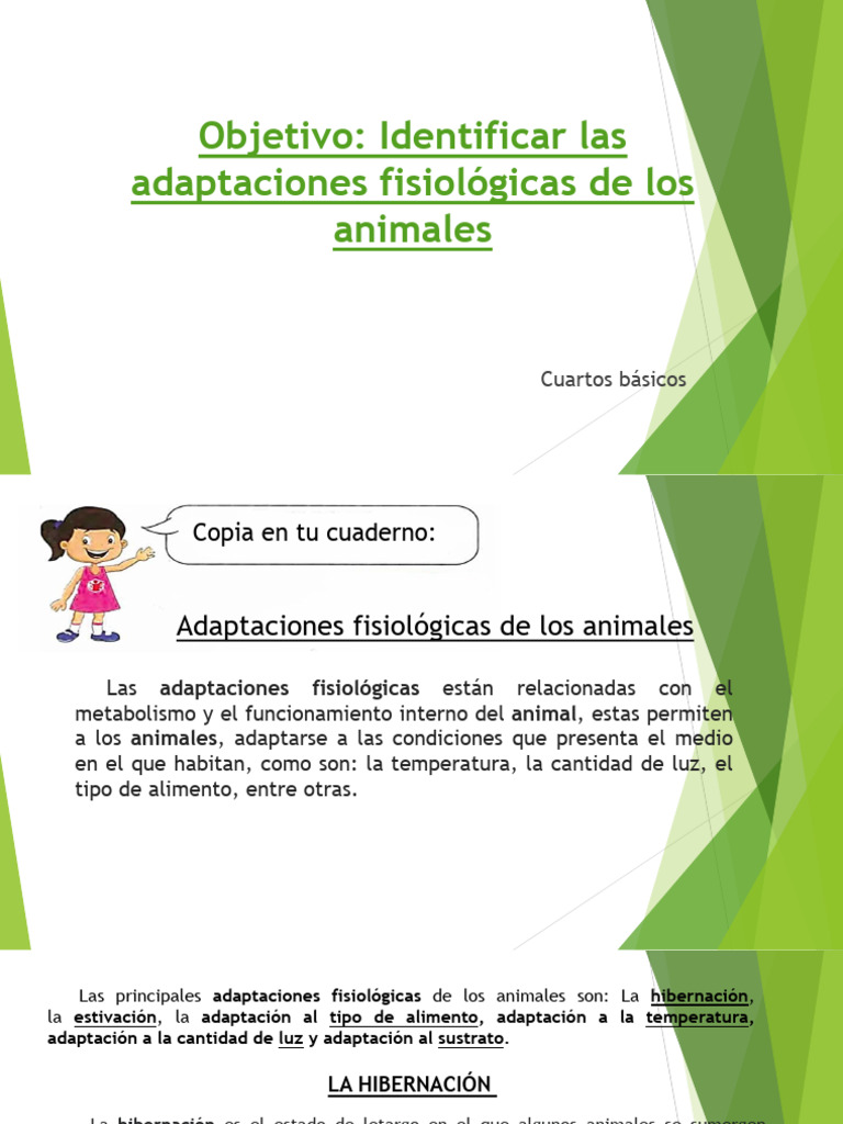 C4 Semana 25 Material de Apoyo Adaptaciones Fisiologicas de Los ...