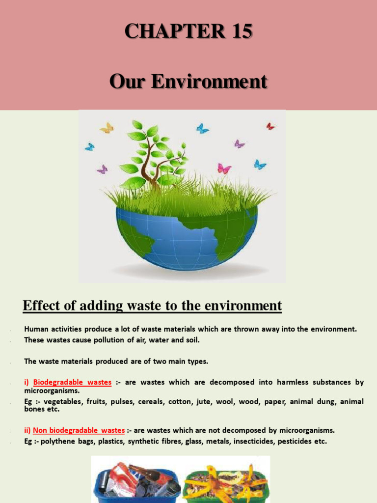Class X Chapter 15 Our Environment | Download Free PDF | Food Web ...