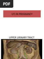 ACOG Clinical Consensus - UTIs in Pregnant Individuals | PDF | Urinary ...