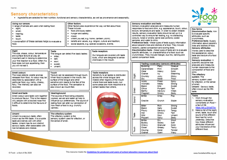 Sensory Evaluation of Food Attributes | PDF