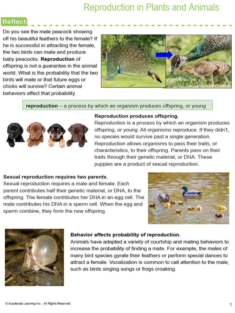 Middle School Stemscopedia Life Science Reproduction in Plants and ...