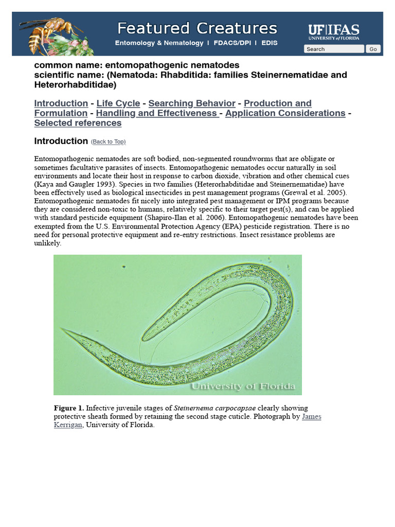 Entomopathogenic Nematodes | PDF