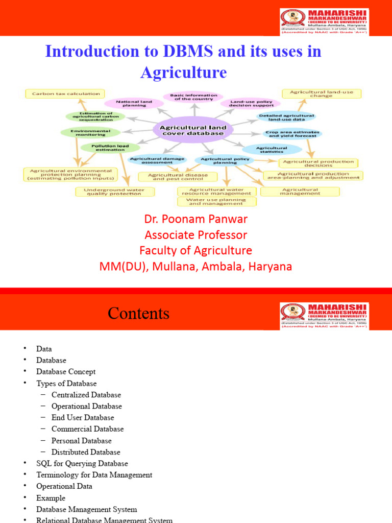 4 Database Pdf