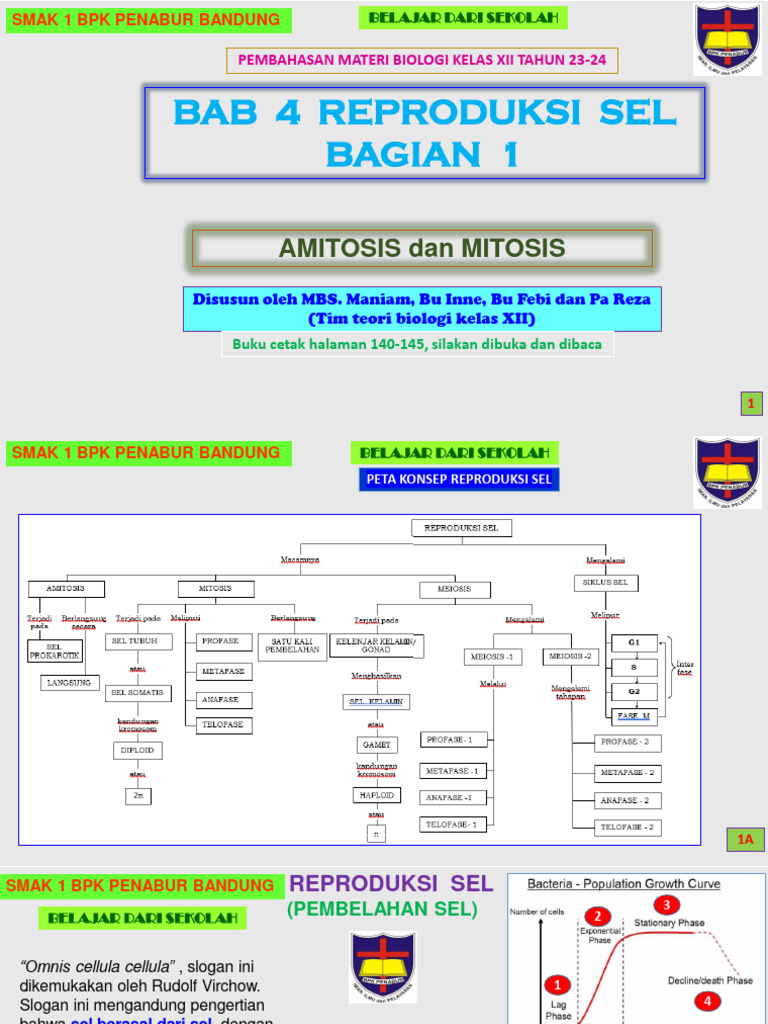 Bab 4 Reproduksi Sel Bagian 1 - Amitosis Dan Mitosis-Final Smak 1 BPK ...